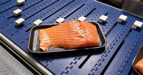 Fish And Seafood Processing Conveyor Belts Intralox