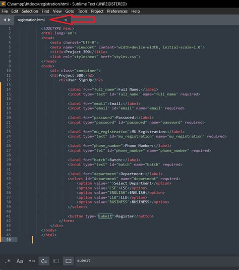 CSE 323 Web Programming Project 300