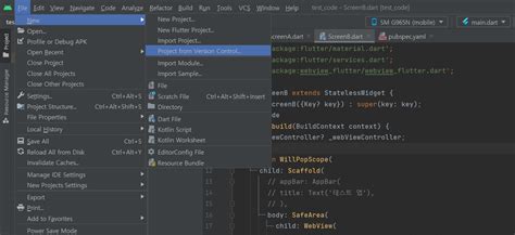 GitHub Flutter 프로젝트를 깃허브 Repository에 코드 올리기 및 가져오기