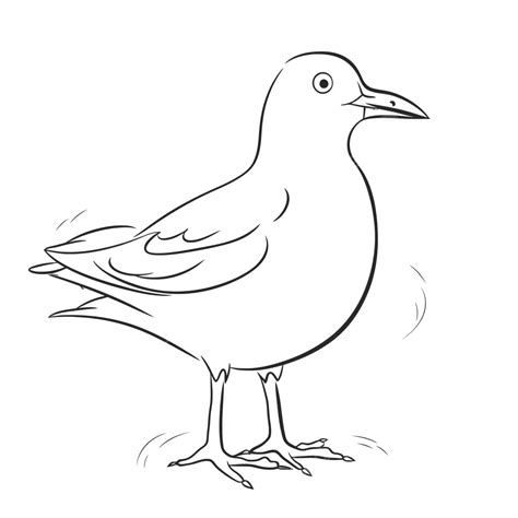 Simple Seagull Drawing