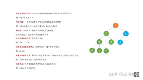 这回真把二叉树吃透了 知乎