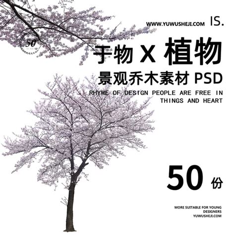 10 2022花乔木色叶数挂角花乔针叶树松树木植物PNG免扣ps后期素材 艺术设计日志 于物设计