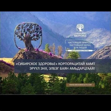 Эрүүл мэнд Гоо сайхны бүтээгдэхүүн Зарна Сугалаа