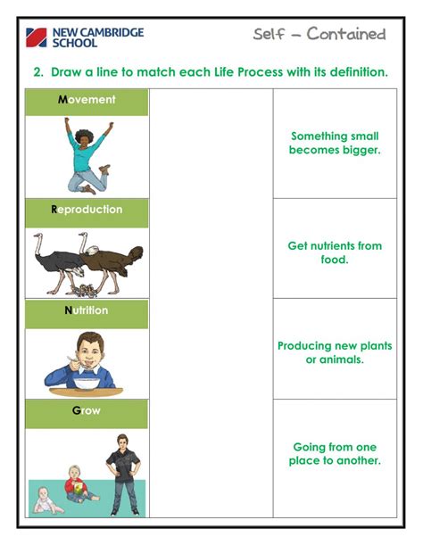 Science Processes Worksheets For Grade 3