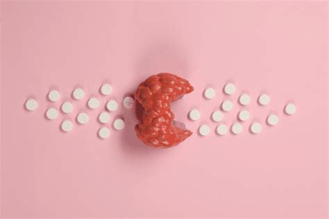 What Is Synthroid Used For Clear Guide To Uses And Dosage