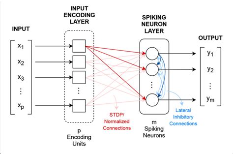 A Spiking Neural Network For Extraction Of Multi Features In Wgkpse