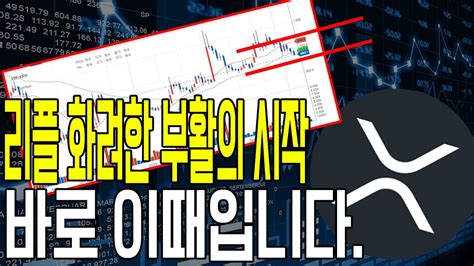 리플코인 전망 악재발생한 리플 살아날 수 있을까 Youtube