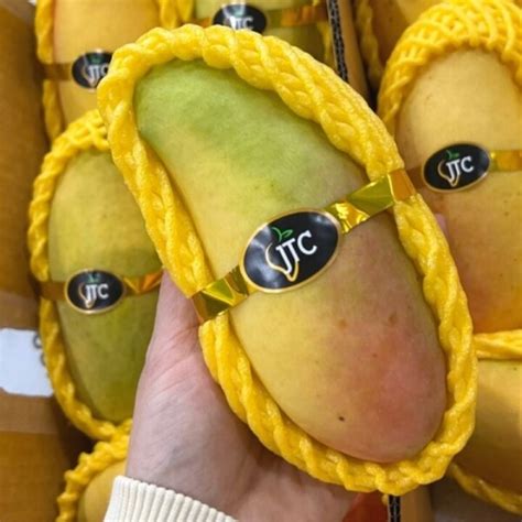 마하차녹 무지개 망고 2kg 4kg 항공직송 고당도 오픈마켓 우리들쇼핑