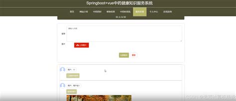 Springbootvue中药健康知识服务系统9nn09（程序源码数据库调试部署开发环境）系统界面在最后面。 Csdn博客