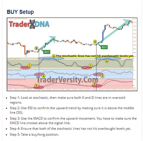 Mt5 Expert Advisor Using Bollinger Bands Macd Rsi And Stochastic