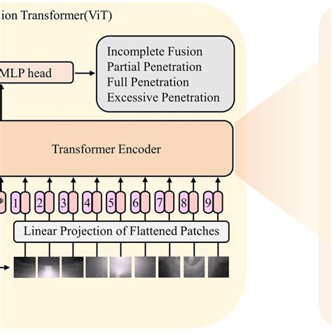 The Overall Architecture Of The Pretrained Vit B 16 For Penetration