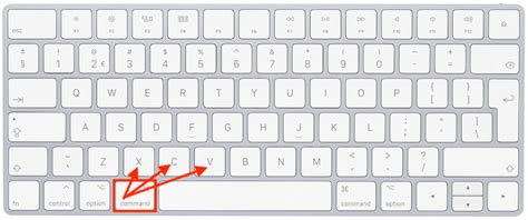 Ways To Cut Copy And Paste Text On A Mac Digital Citizen