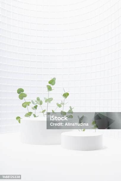 봄 신선한 우아한 흰색 장면은 두 개의 원형 연단 모형 모자이크 벽 햇빛에 녹색 작은 유칼립투스 가지 프레젠테이션 화장품 상품 수직을 위한 템플릿이 있는 곡선 틈새로