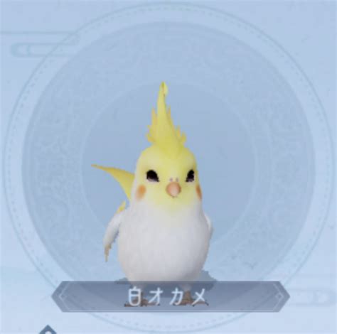 Wiki Jp