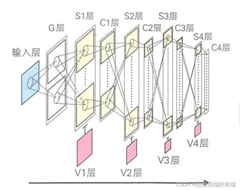 深度学习 卷积神经网络特征提取细胞 David Hunter Hubel Csdn博客