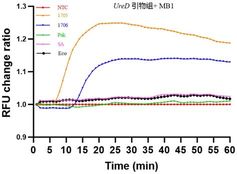 肺炎克雷伯菌和耐碳青霉烯肺炎克雷伯菌双重直接检测方法及试剂盒 爱企查