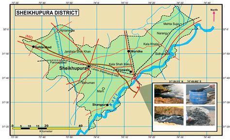 Figure 1 From Hemarthria Compressa—aspergillus Niger—trichoderma