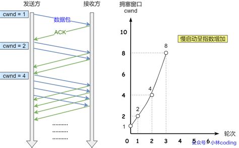 4 2 Tcp 重传、滑动窗口、流量控制、拥塞控制 小林coding