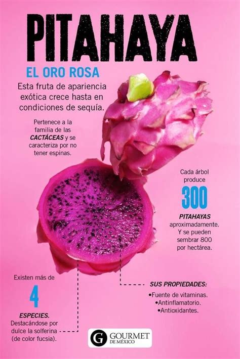 Fruta Del Dragon Pitajaya Alimentos Con Hierro Beneficios De La Fruta