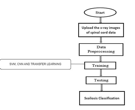 Early Stage Detection Of Scoliosis Using Machine Learning Algorithm