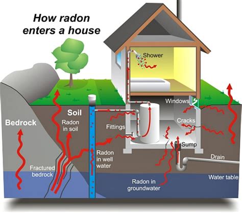 Radon Graphic Pro Lab®