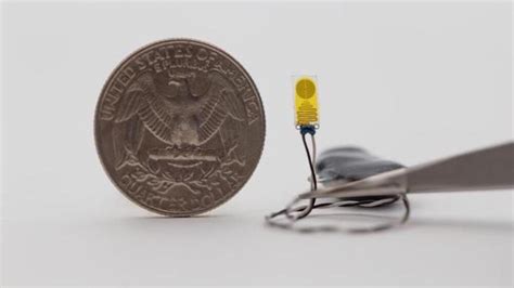 Bluetooth Enabled Device Warns If Body Rejects A New Organ Lifeboat News The Blog