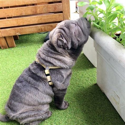 Those Wrinkles Tho 😍 R Pics
