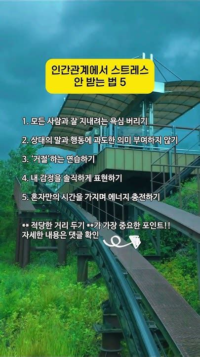 인간관계에서 스트레스를 안 받는 법 5 삶의지혜 동기부여 인생명언 인생조언 Best5 명언 인간관계 스트레스 Youtube
