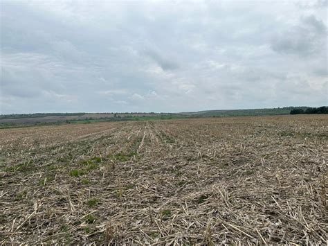 Земельний скандал на Яворівщині паї селян без їх згоди передали новому орендарю підробивши