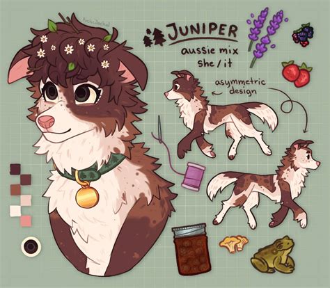 Juniper Reference By Arcticjackal On Deviantart
