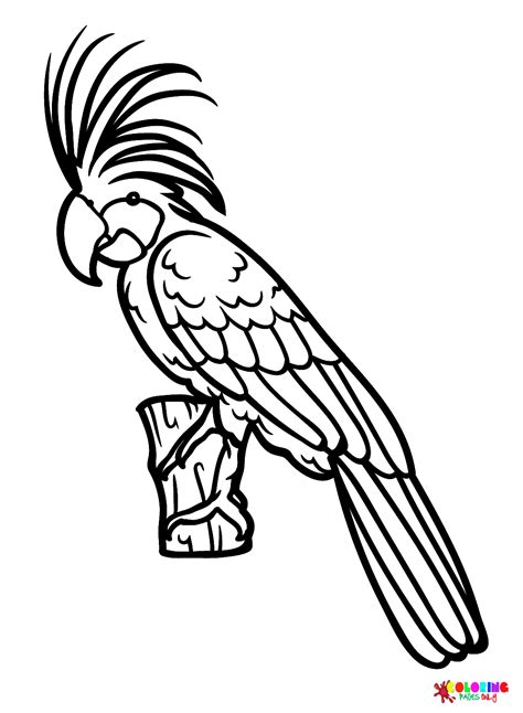 30 Cockatoo Coloring Pages Free Printable Pdf And Online Coloring