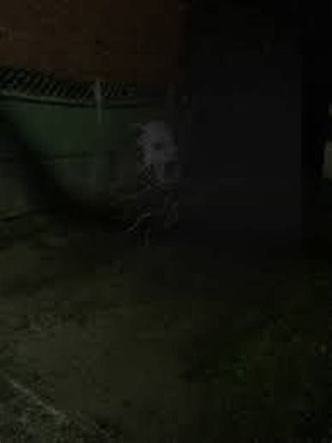 Are These By Trevor Fandom