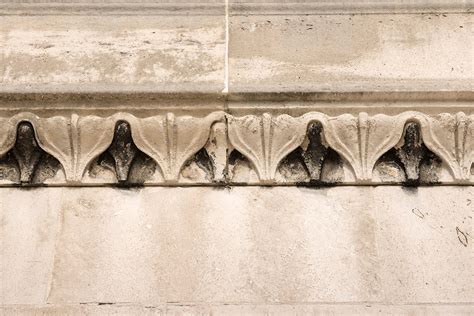 Csns Centre For Statecraft And National Security