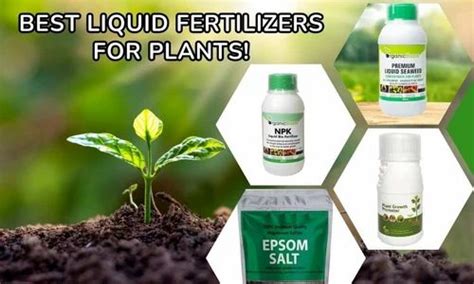 Granules Organic Compost Fertilizer Packet 5 Kg At ₹ 390kg In Merta Road