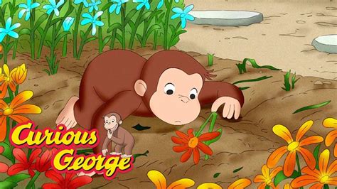 Curious George Desktop Wallpapers Top Free Curious George Desktop Backgrounds Wallpaperaccess