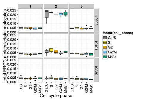cell cycle analysis