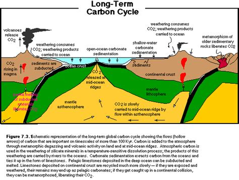 Long Term Carbon