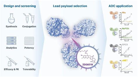 Zymeworks公司的新型喜树碱adc荷载的分子设计与评估 知乎