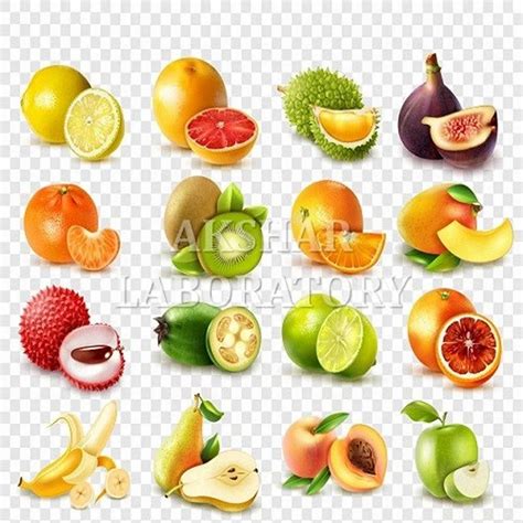 Dietary Fiber Testing Services At ₹ 199sample In Ahmedabad Id