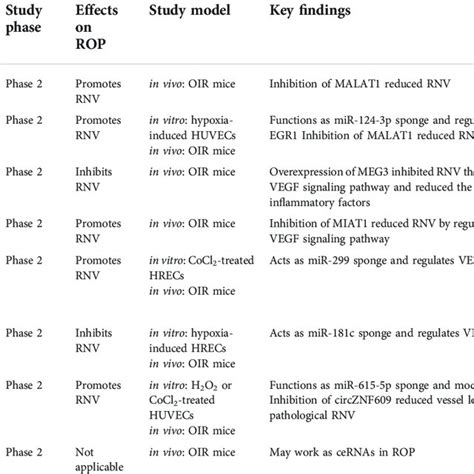 Long Noncoding Rnas And Circular Rnas Regulating Retinopathy Of Download Scientific Diagram
