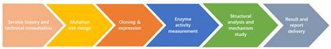 Enzyme Engineering Modification Optimization Labelling Site