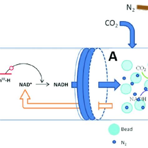 Biocatalytic Reduction Of Co2 To Ch3oh Via A Photocatalytic Reactor