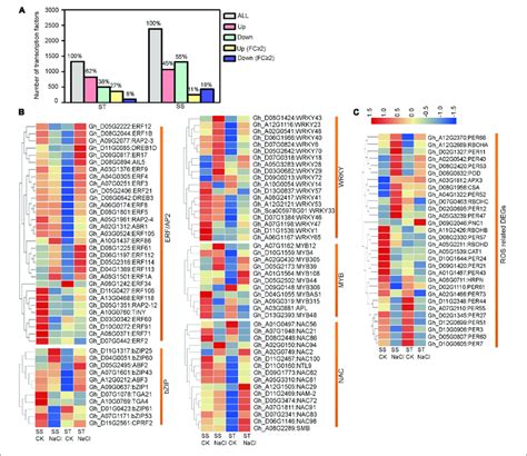 Differentially Expressed Transcription Factor Tf And Reactive