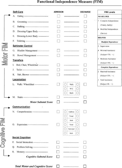 Functional Independence Measure Download Scientific Diagram