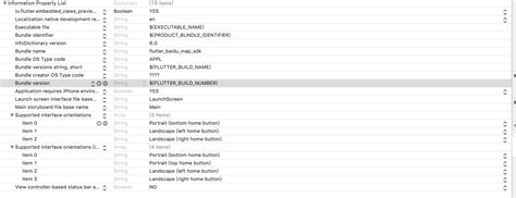 VERBOSE Platform View Layer Cc Trying To Embed A Platform View But The PaintContext Does