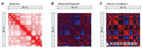 3d Genome Seminar笔记（二）：hi C数据分析流程 墨天轮