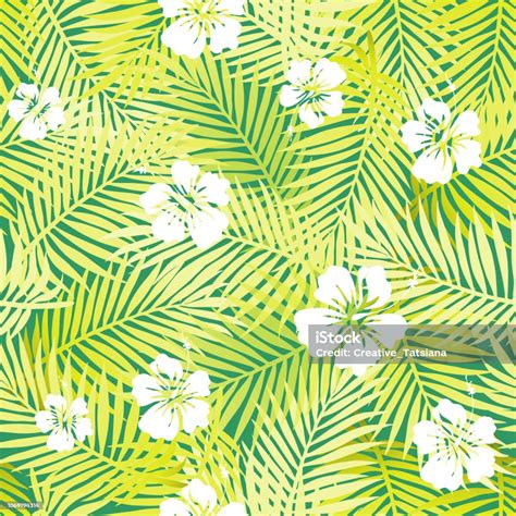 이국적인 열 대 녹색 바나나 팜 화이트 양식된 히 비 스커 스 꽃과 나뭇잎 원활한 꽃 여름 녹색 배경 패턴입니다 벽지 포장지 섬유 인쇄에 대 한 텍스처의 디자인 연속무늬에
