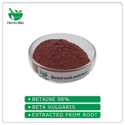 Beetroot Extract Supplier —— Xian Herb Bio Herbal Extrat Supplier