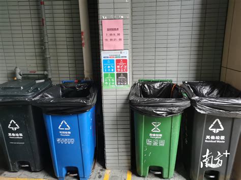 从这个小区开始！清城凤城街试点垃圾“定时定点”分类投放生活宣传居民