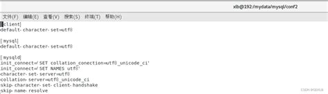 Docker 运行 Mysql80及挂载映射docker启动mysql80 Csdn博客